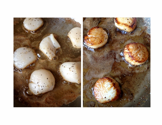 Seared Scallops with Farro & Orange Saffron Butter Sauce-C_Page000 (530 ...